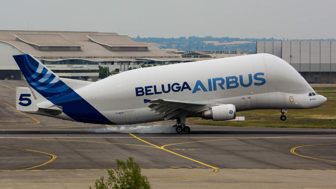 Airbus Beluga auf Langstrecke: Mit Satellit im Bauch in die USA | FLUG ...