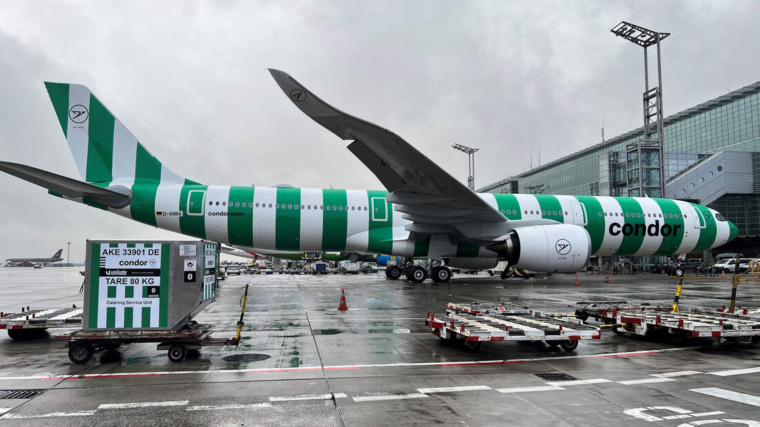 Condor A330neo fliegt erstmals Passagiere von Frankfurt | FLUG REVUE