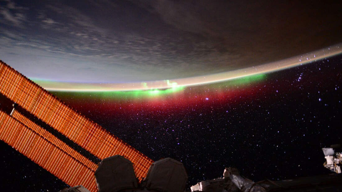 NASA-Astronaut Scott Kelly kehrt nach Houston zurück | FLUG REVUE