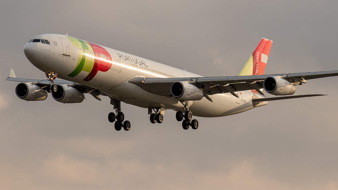 TAP Portugal hat Ausflottung des Airbus A340 begonnen | FLUG REVUE