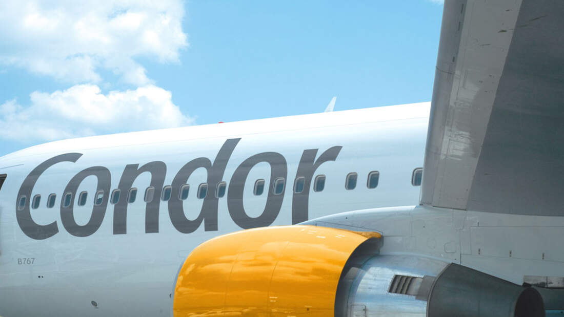 Condor wächst auf der Kurz- und Mittelstrecke | FLUG REVUE