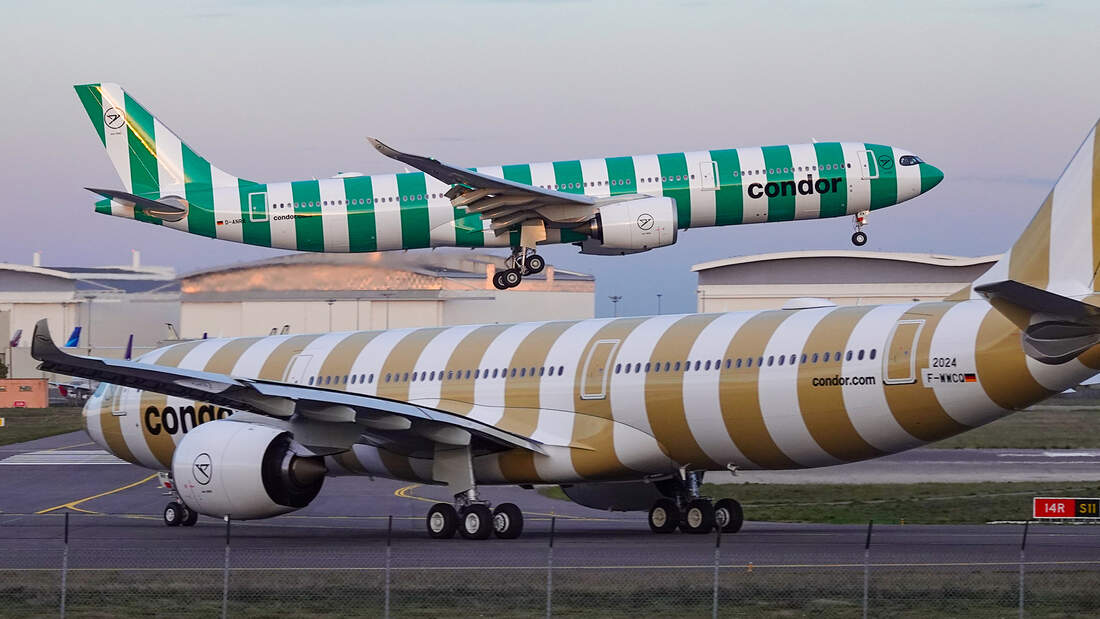 Neuer Condor-Airbus A330neo am Boden beschädigt | FLUG REVUE