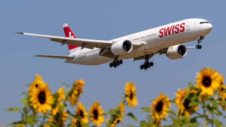 Fotowettbewerb: "Aviation Photographer of the year" | FLUG REVUE